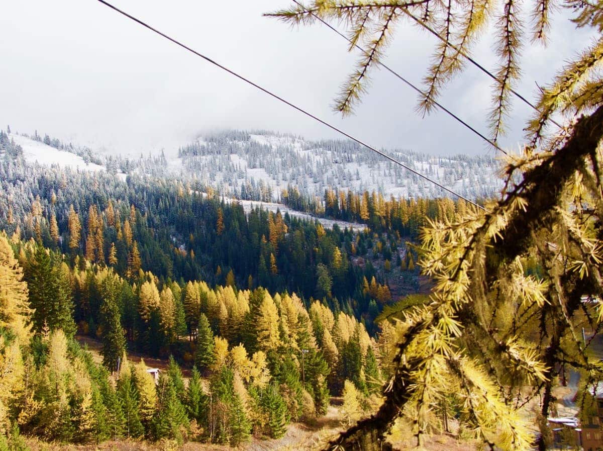 Winter Ski Season Is Coming Soon! | Snow Bear Chalets